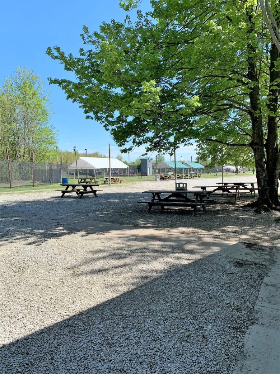 Gallery - Pinnacle Adventure Park